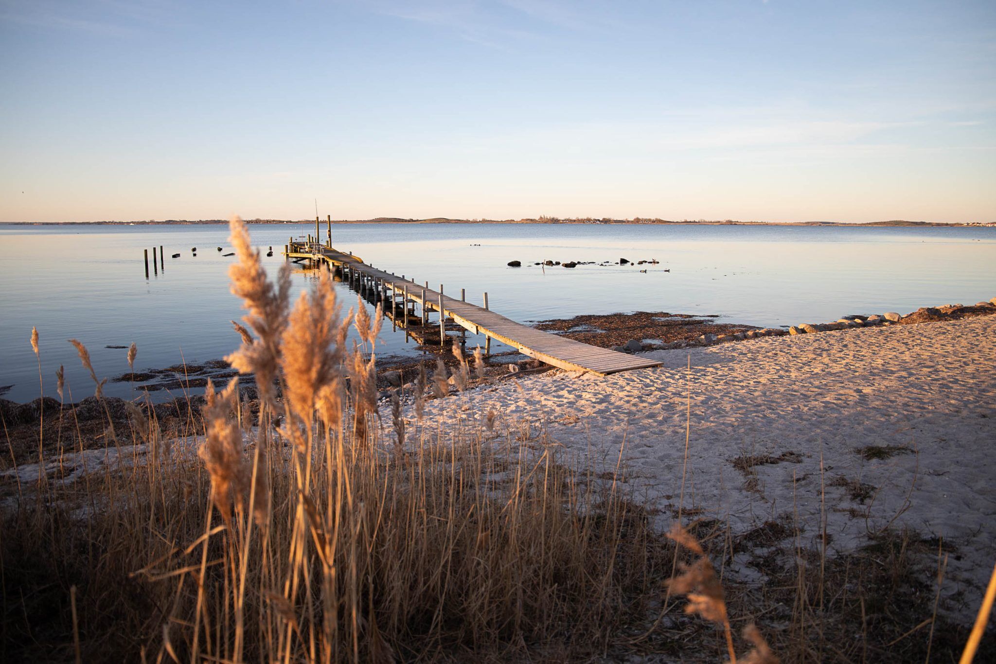 Spa og konference hotel på Sydfyn i natur ved Faaborg Fjord